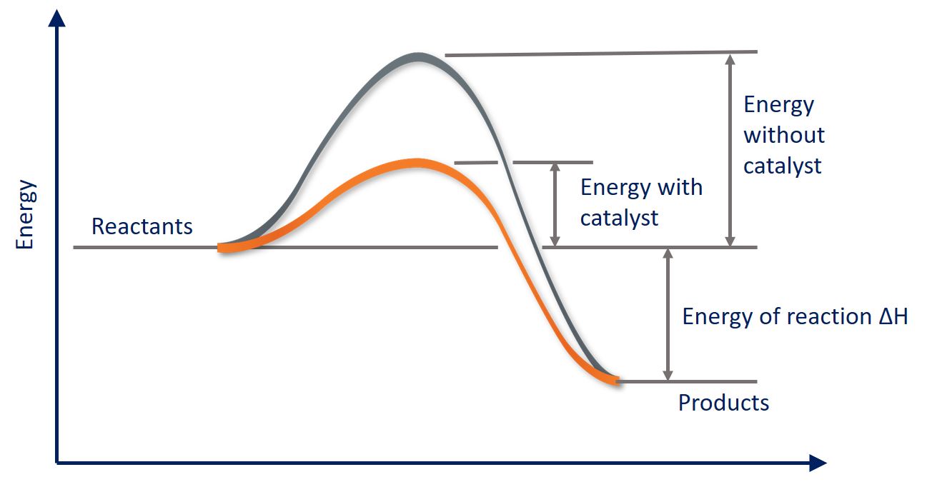 A Catalyst Increases The Rate Of Reaction By Sri Chaitanya Infinity